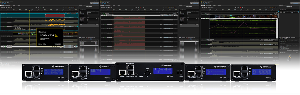 BRAINSALT - Show Controller and I/Os BRAINSALT - Show Controller and I/Os